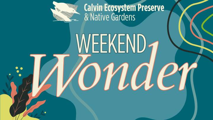 Weekend Wonder | Calvin University