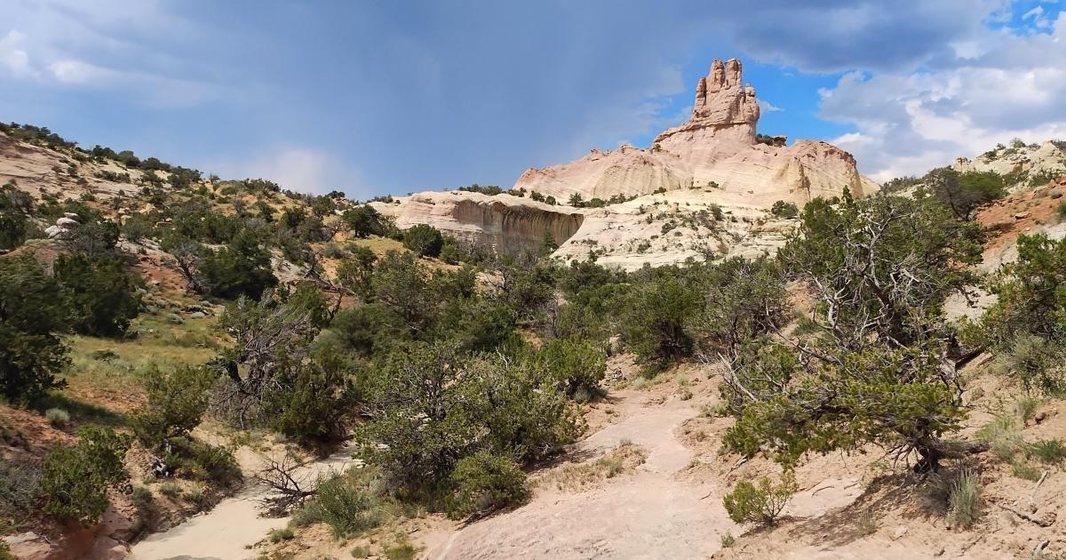 GEO 341: Geology Field Studies in New Mexico | Calvin University