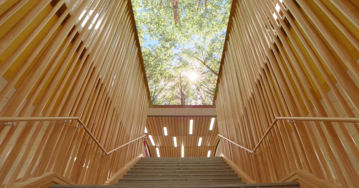Hekman Library - Construction at Calvin | Calvin University