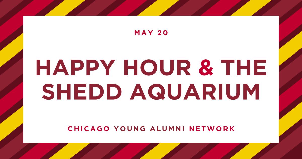 Chicago Young Alumni Network Happy Hour & Shedd Aquarium: Tue, May 20 ...
