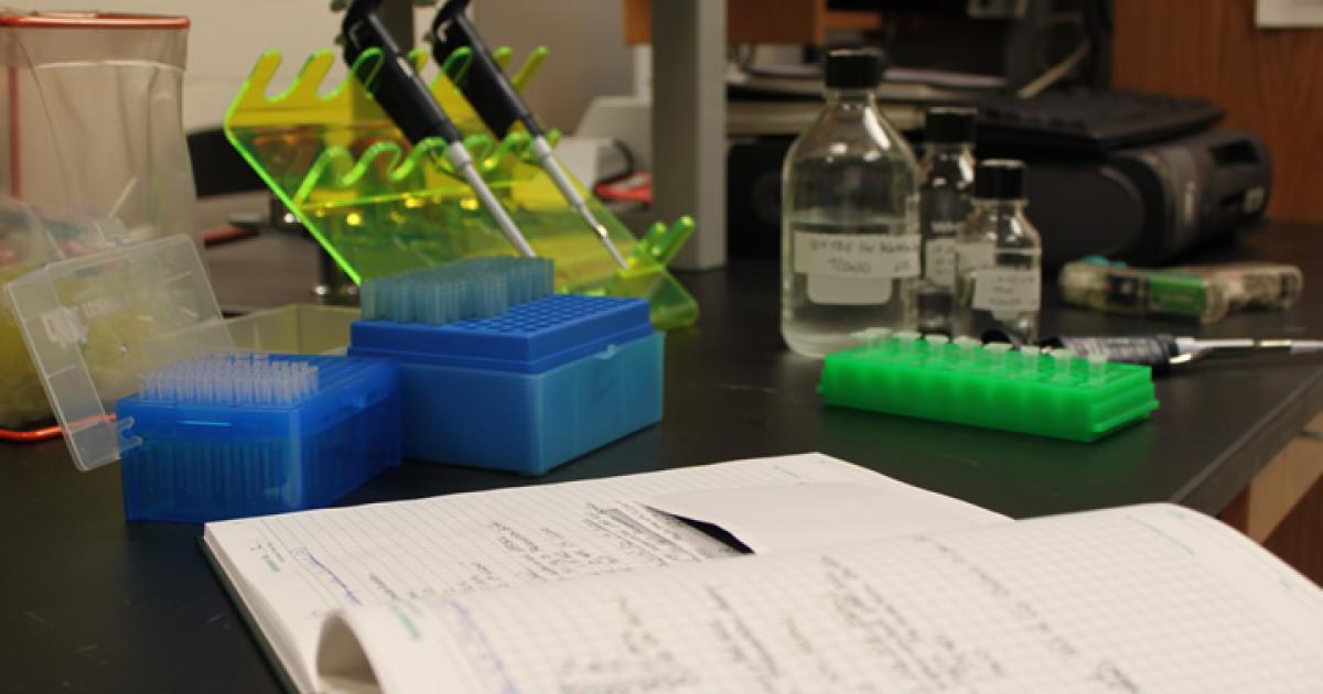 Leveraging Laboratory Activities to Achieve STEM Education Reforms ...