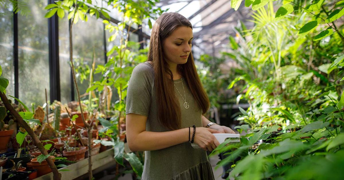 Biology Major (BA), Minor | Calvin University