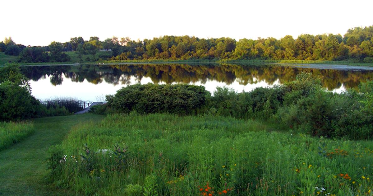 Flat Iron Lake Preserve | Calvin University